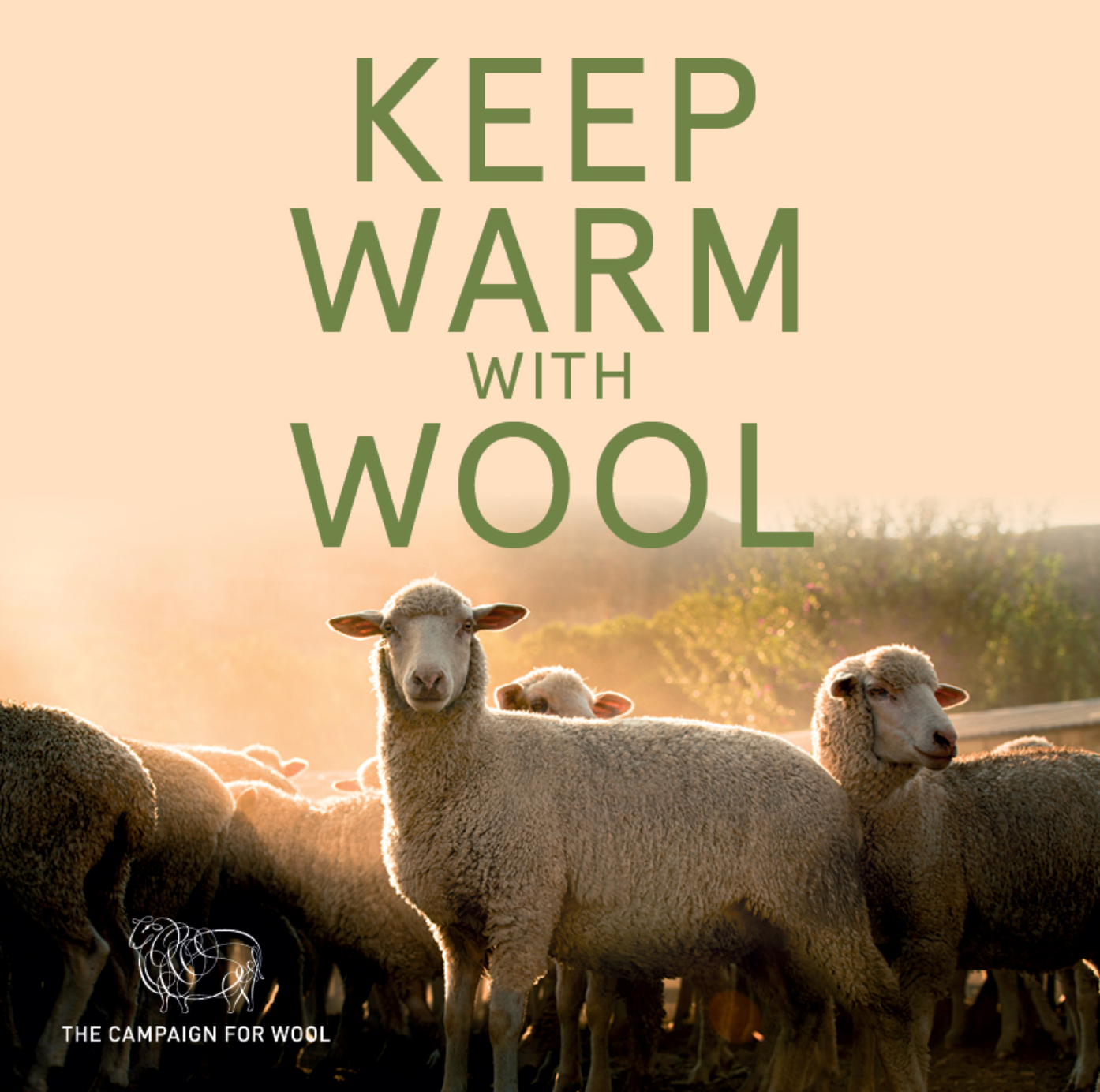 Campaign For Wool and October Wool Month – Hyde & Hare